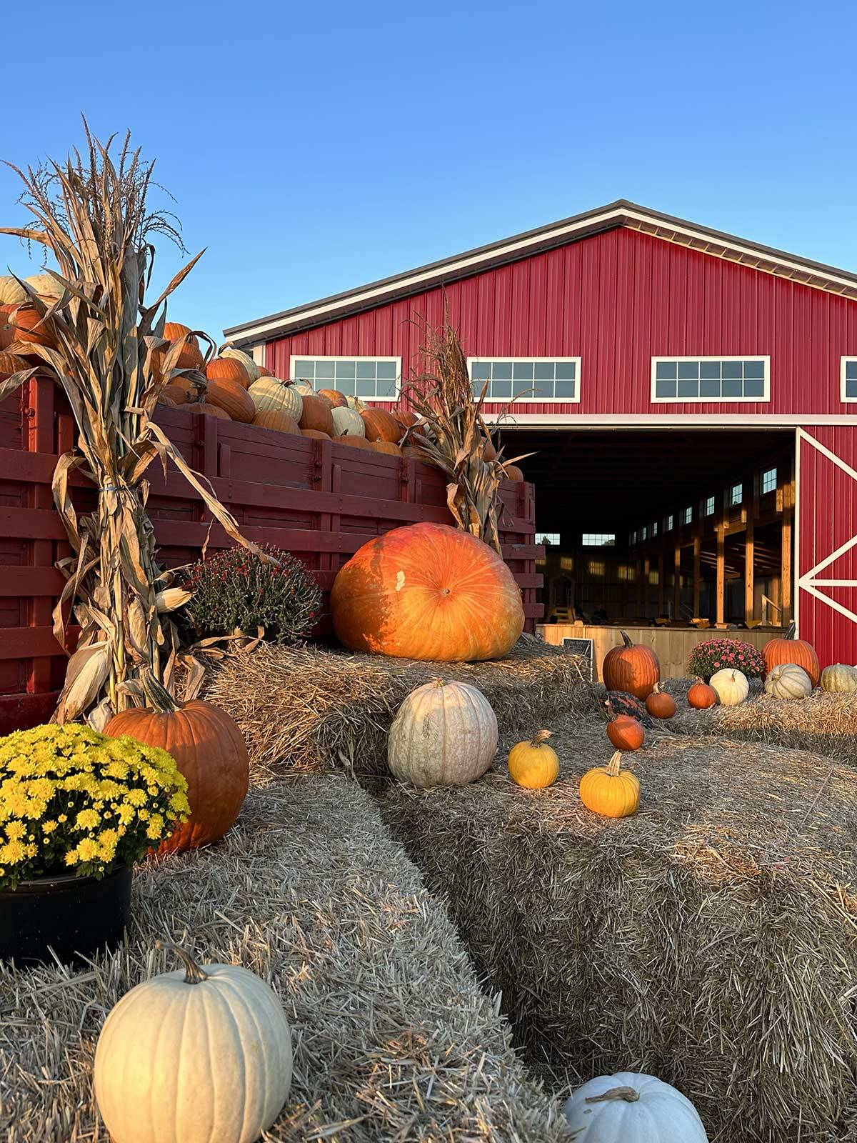 Markets | Gritt's Farm